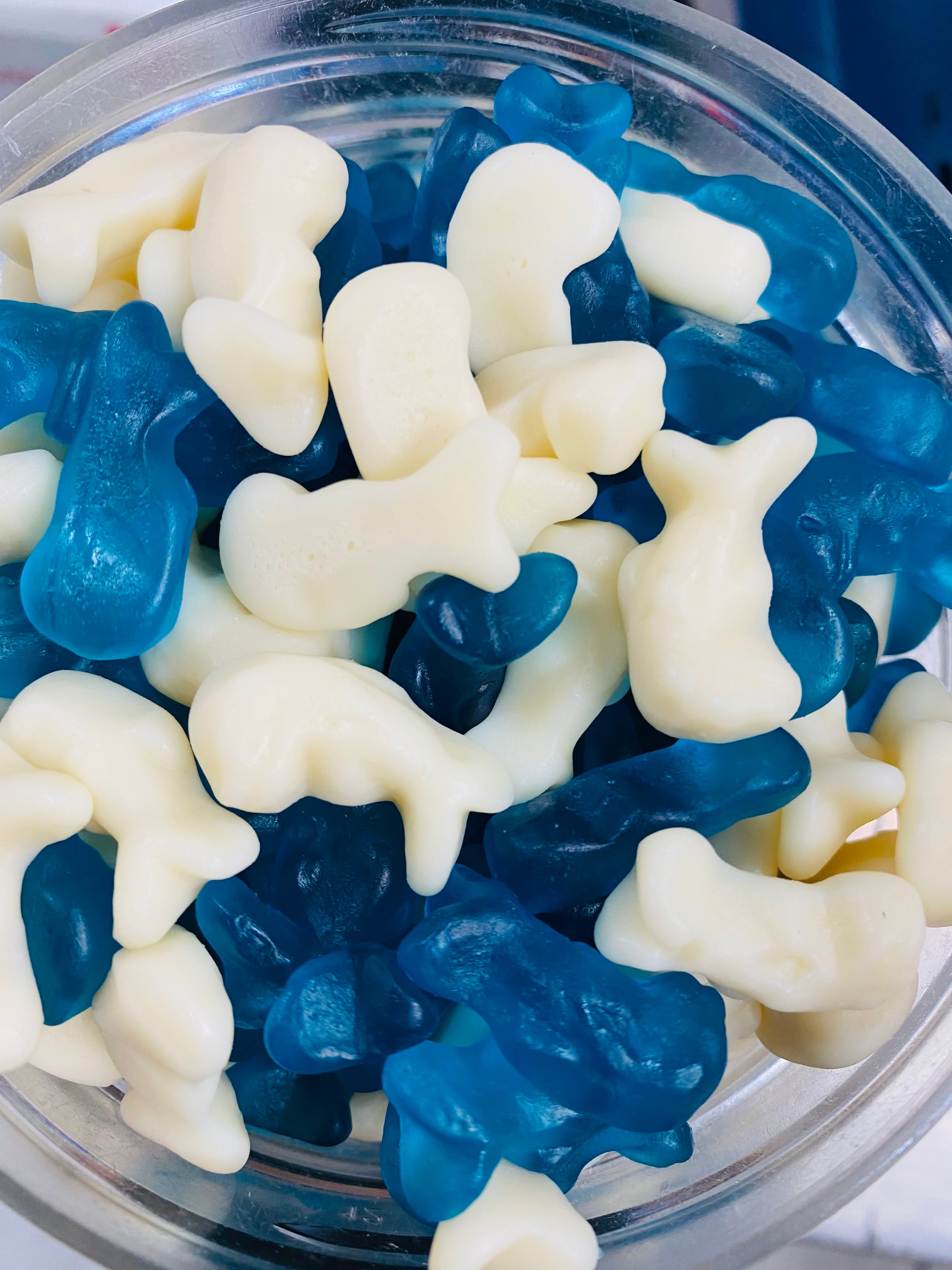 Dolphins – Retro SweetShop UK